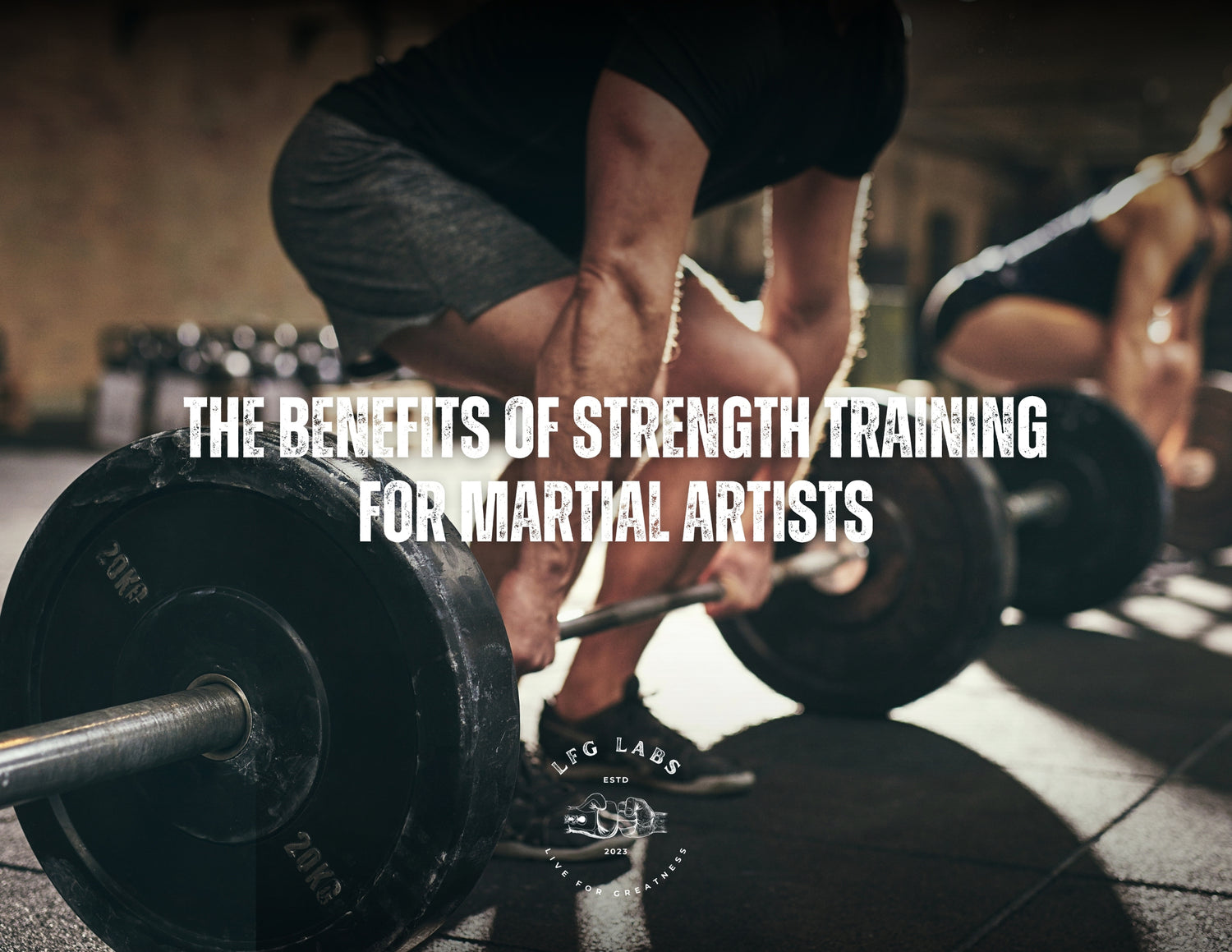 The Benefits of Strength Training for Martial Artists – LFG Labs