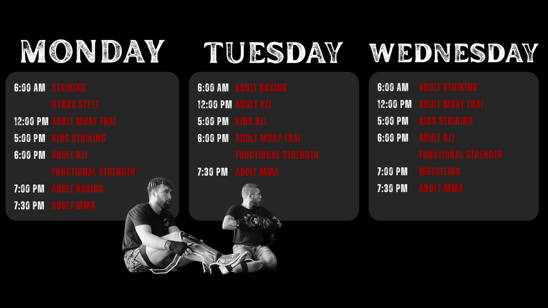 Schedule – LFG Labs