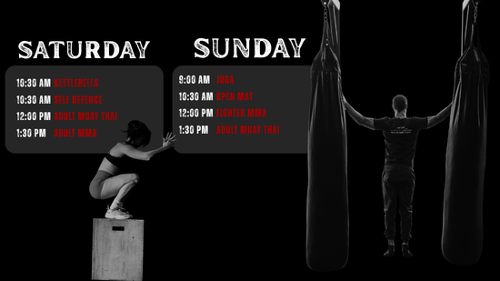 Schedule – LFG Labs